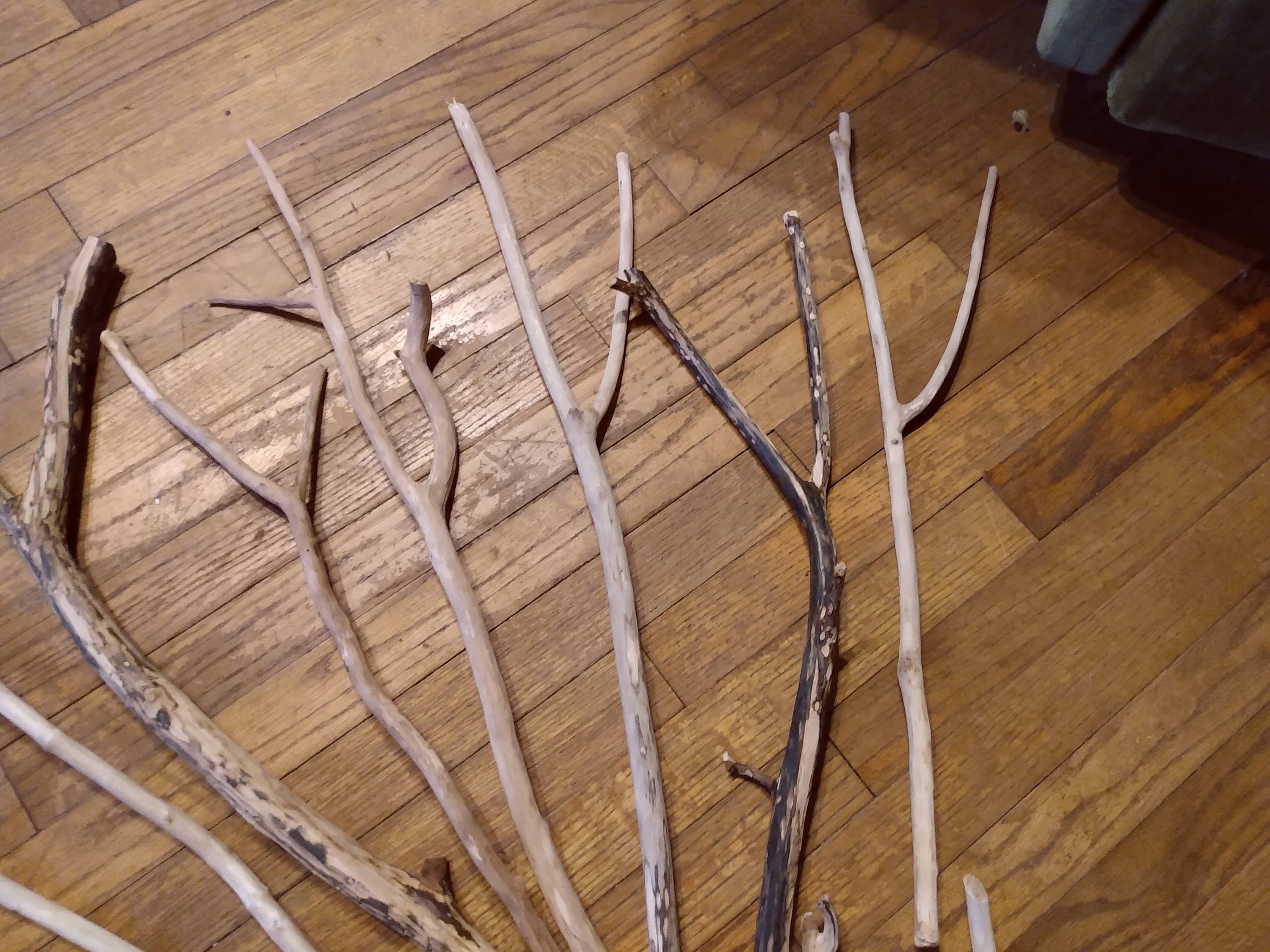 12 Natural Bark Stripped Forked Stang Tree Branches Forked Branch 14 to ...