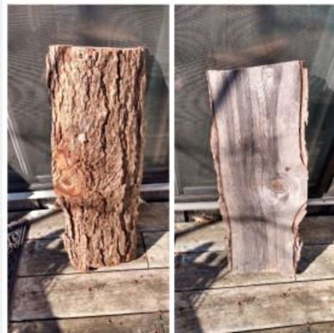 28 Wood Slab Plank Board With Bark Rustic Primitive Cabin Crafts - Etsy