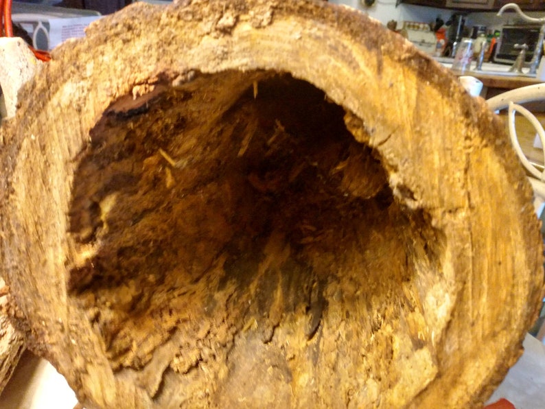 Unique Partially Hollow Real Log Stump Rustic Garden Planter Cabin ...