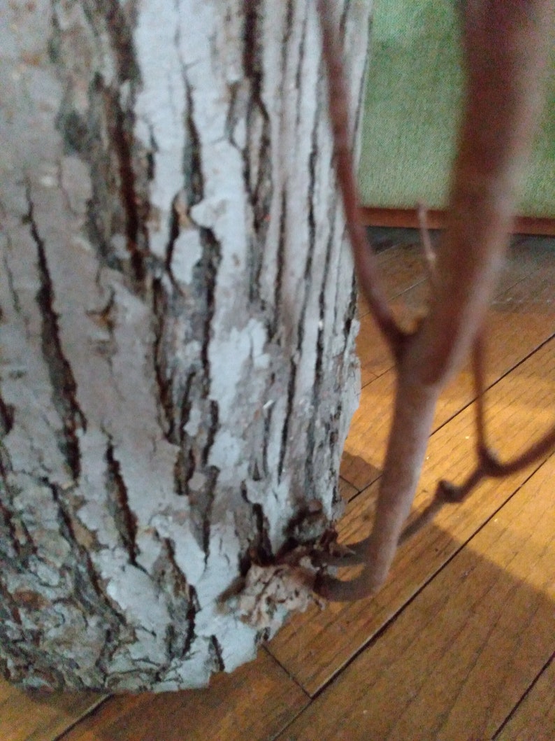 Unique Partially Hollow Real Log Stump Rustic Garden Planter Cabin ...