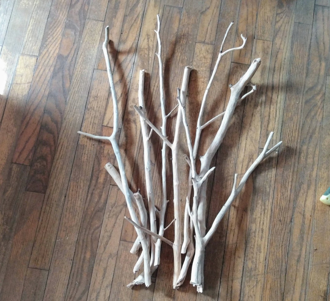 Bundle of Branches Tree Limbs Vase Filler Crafts Garden Art Wall Art ...