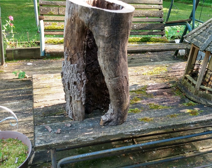 Old Weathered Tree Stump Log Partially Hollow Herb Flower Planter ...