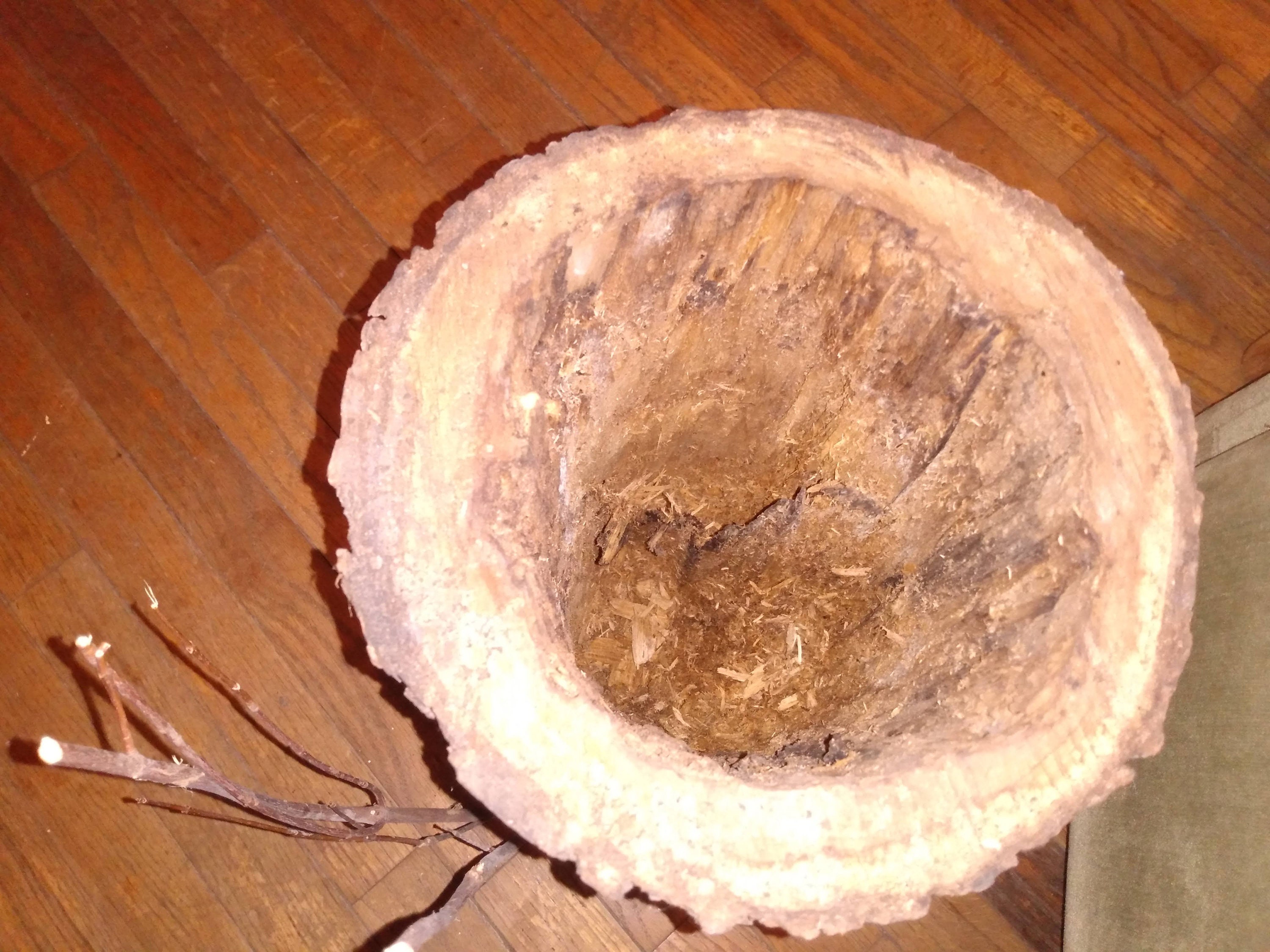 Unique Partially Hollow Real Log Stump Rustic Garden Planter Cabin ...