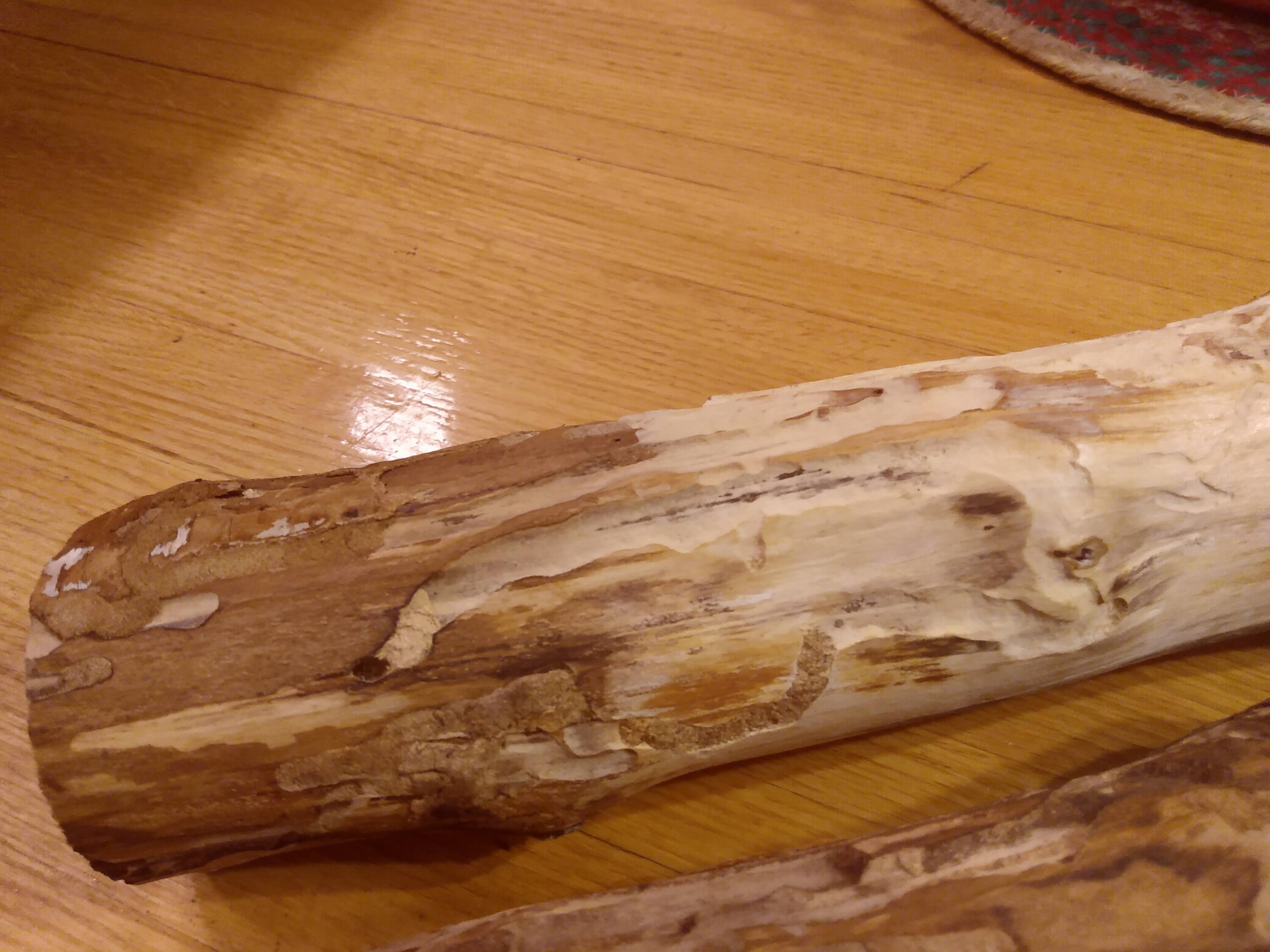 4 Bark Stripped Real Wood Birch Logs Full of Character 11 to 14 - Etsy