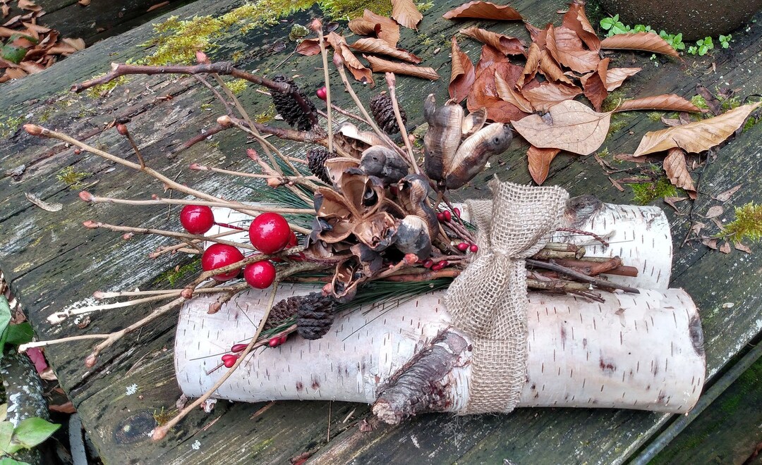 Birch Logs With Yucca Pods, Sassafras Twigs Branches Rustic Christmas ...