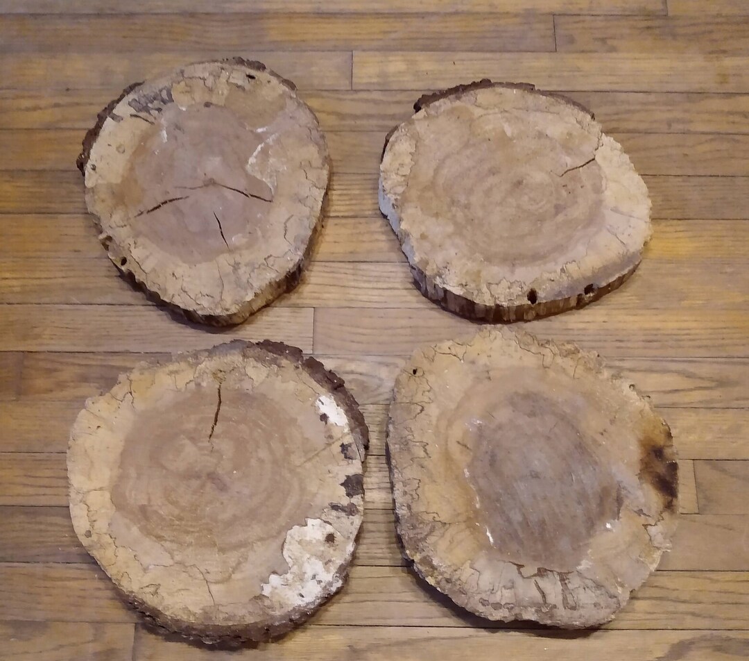 4 Imperfect Rough Cut Real Wood Tree Slices Centerpiece Crafts - Etsy