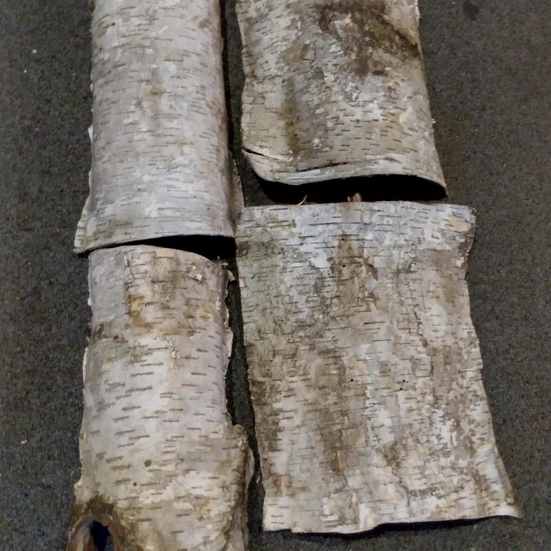 Birch Bark Sheets - Etsy