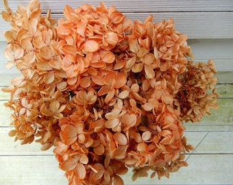 Dried hydrangeas | Etsy