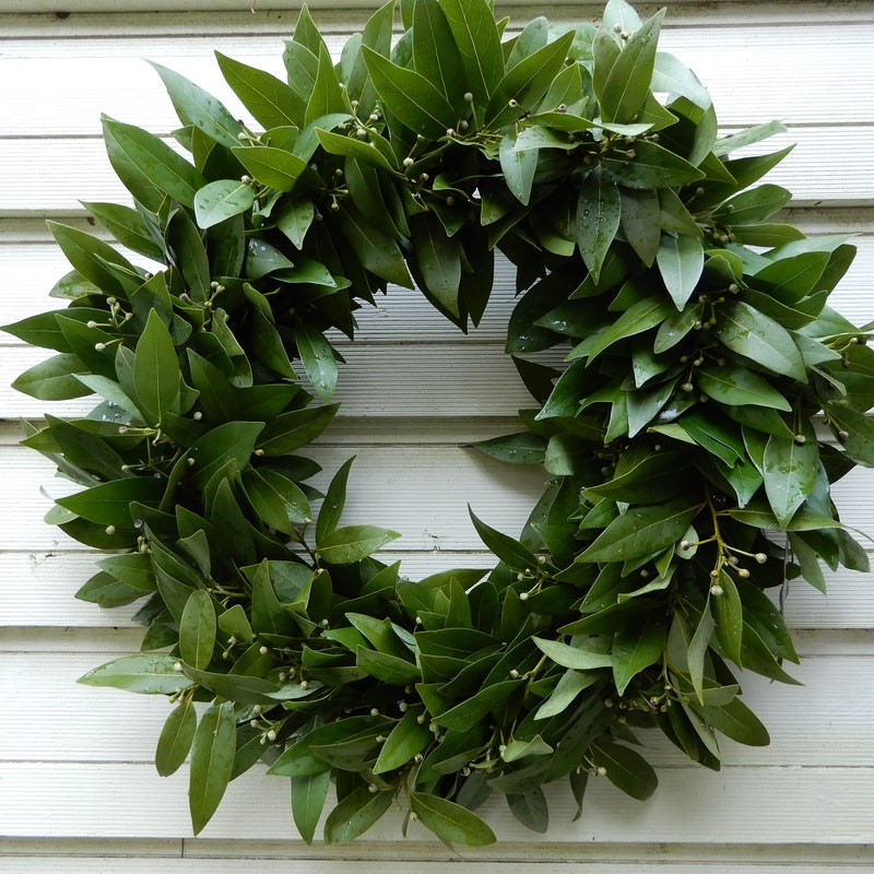 Fresh Bay Leaf Wreath - Etsy