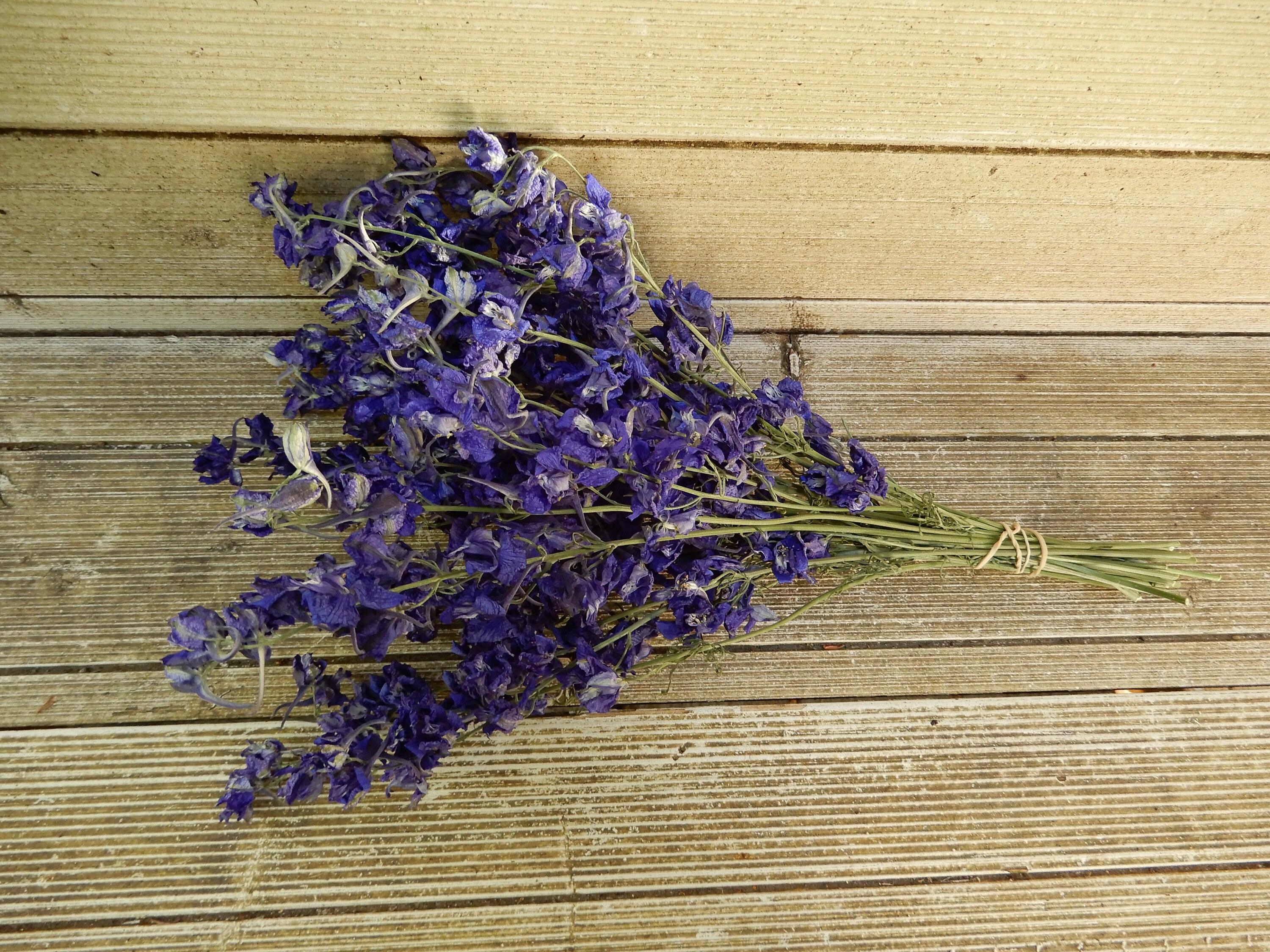 Dried Flowers Dark Purple Larkspur Bunch 25 Stems Bouquets - Etsy