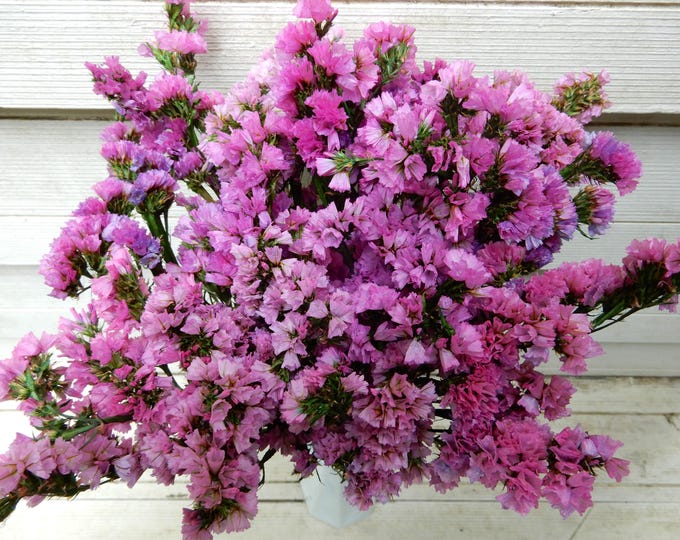 Preserved Statice Bright Pink Colors Dried Flower Bouquet 12 Large ...