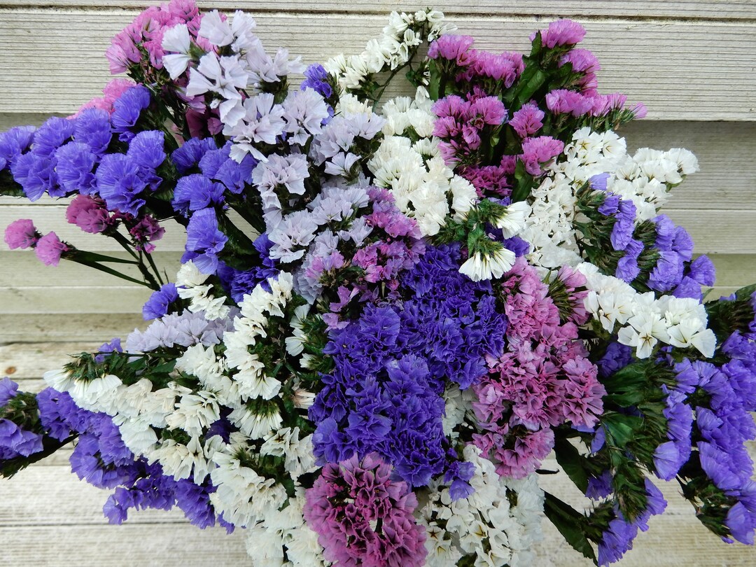 Preserved Statice Lavender, Pink and White Colors Dried Flower Bouquet ...