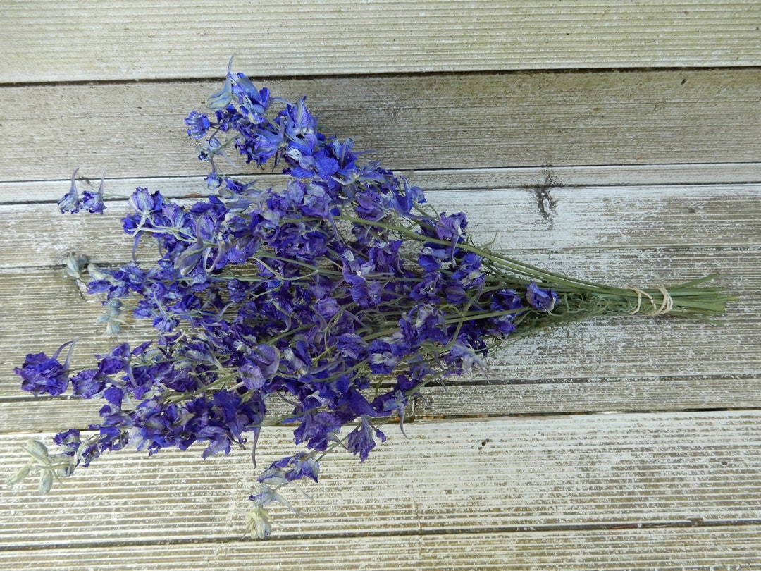Dried Flowers Dark Purple Larkspur Bunch 25 Stems Bouquets - Etsy