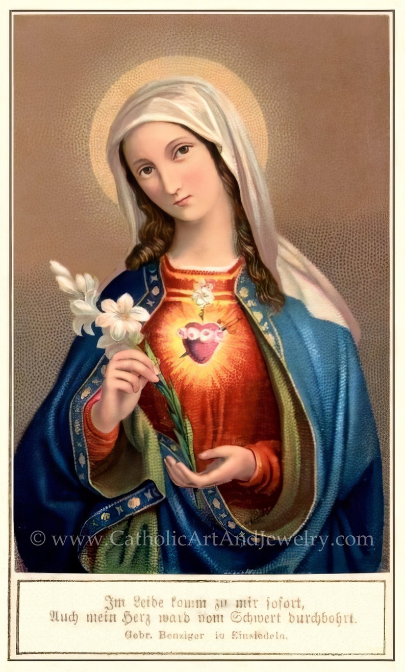 Immaculate Heart of Mary – Novena on Back – Pack of 10/100/1000 ...