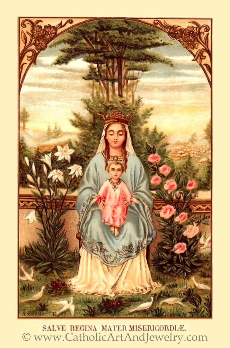 Hail Holy Queen Holy Card – Hail Holy Queen Prayer in English – Pack of ...