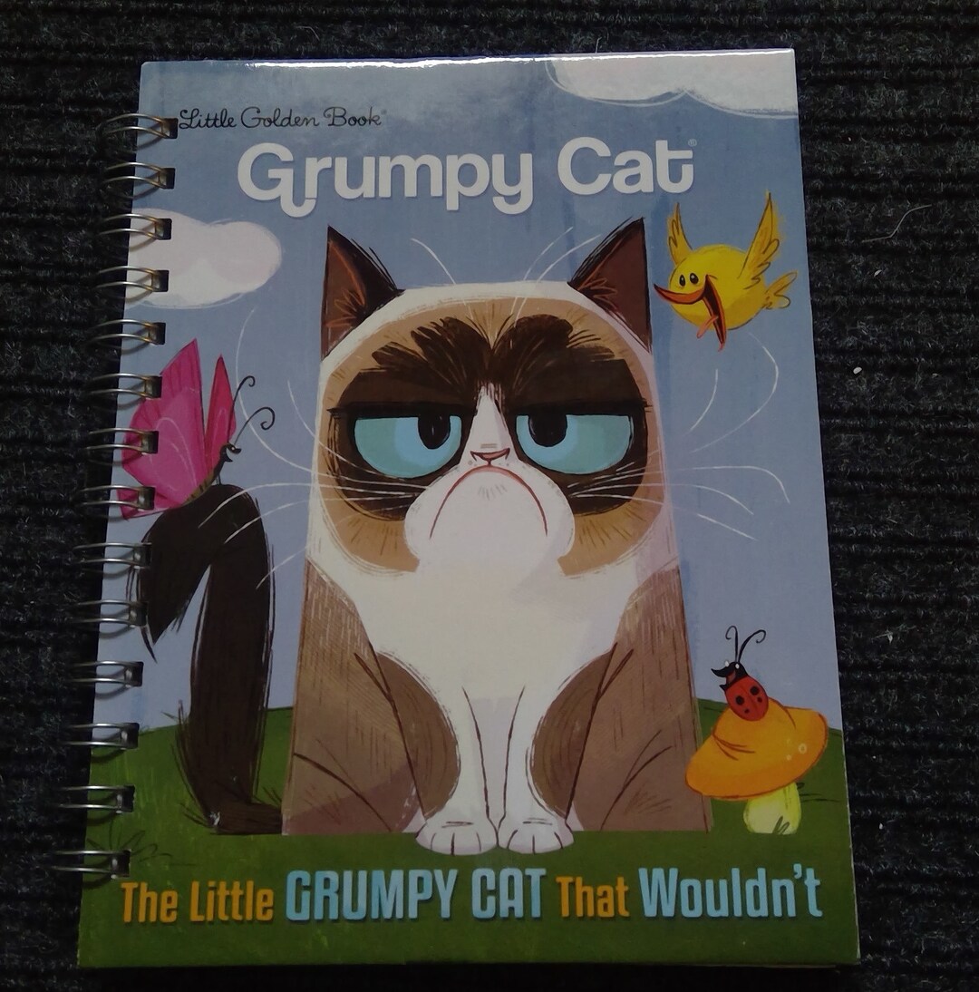 Grumpy Cat Storybook Journal – Repurposed & Recycled Notebook, Blank ...