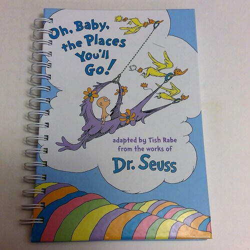 Oh the Places You'll Go Recycled Journal Storybook - Etsy
