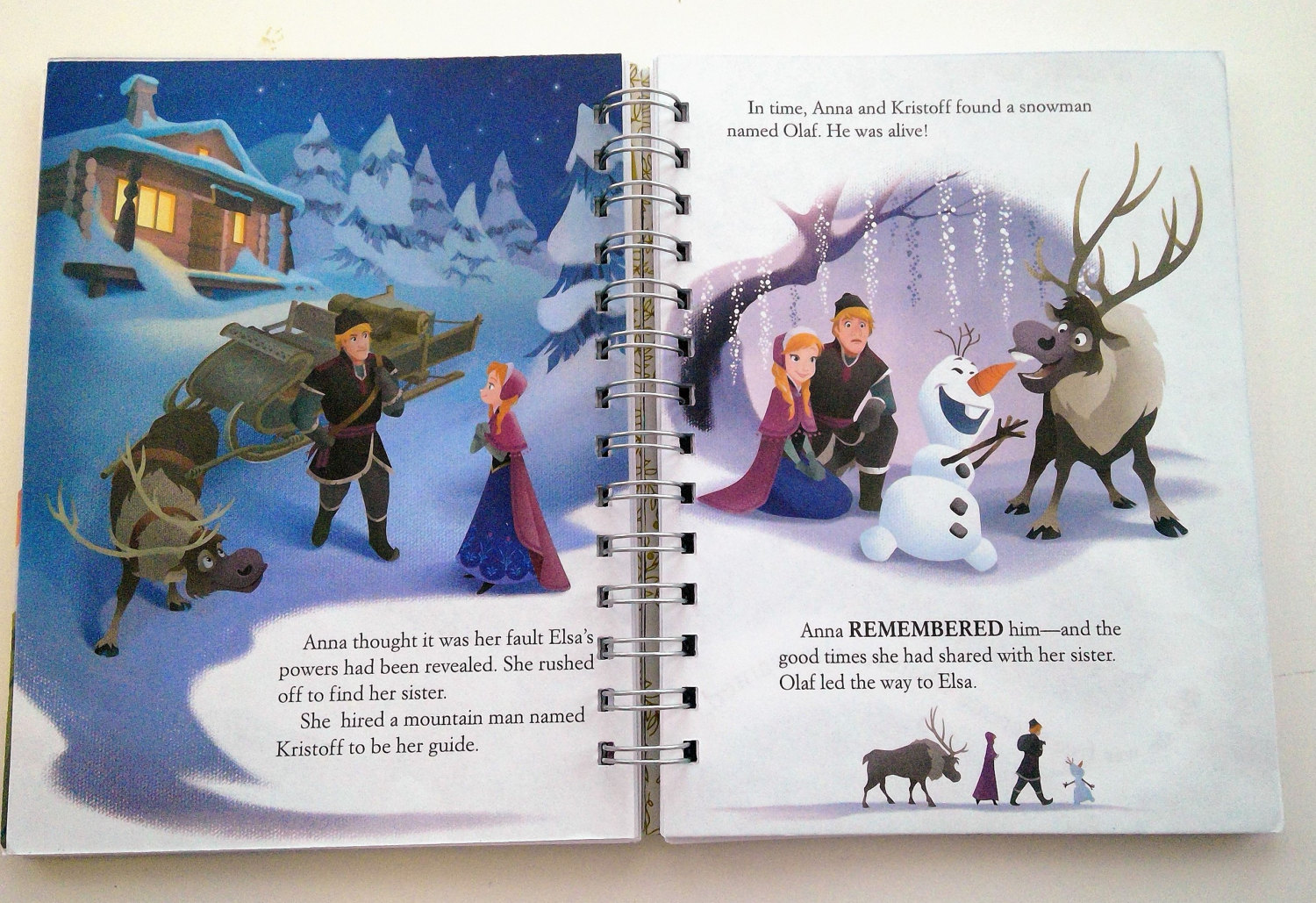 Frozen Elsa and Anna storybook journal disney autograph | Etsy