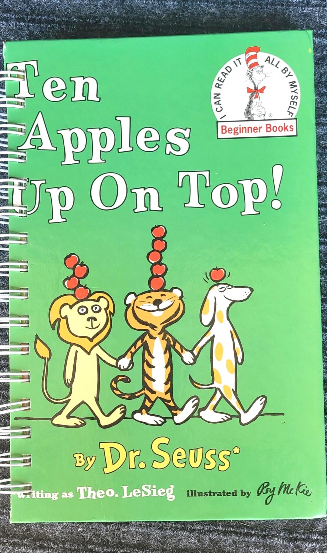 Upcycled "ten Apples up on Top" Storybook Journal: Dr. Seuss Sketchbook ...