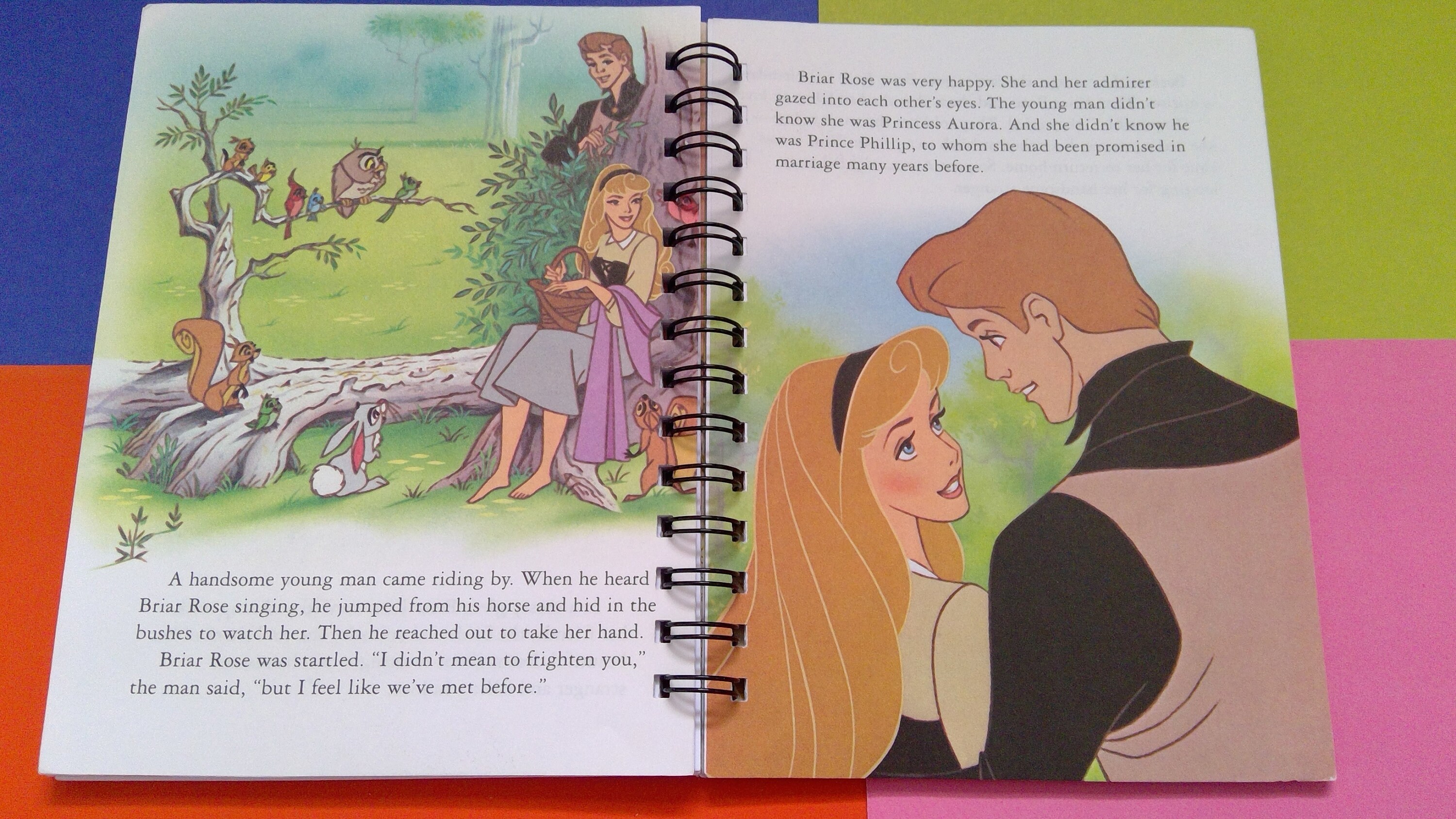 Sleeping Beauty storybook journal recycled Little Golden | Etsy