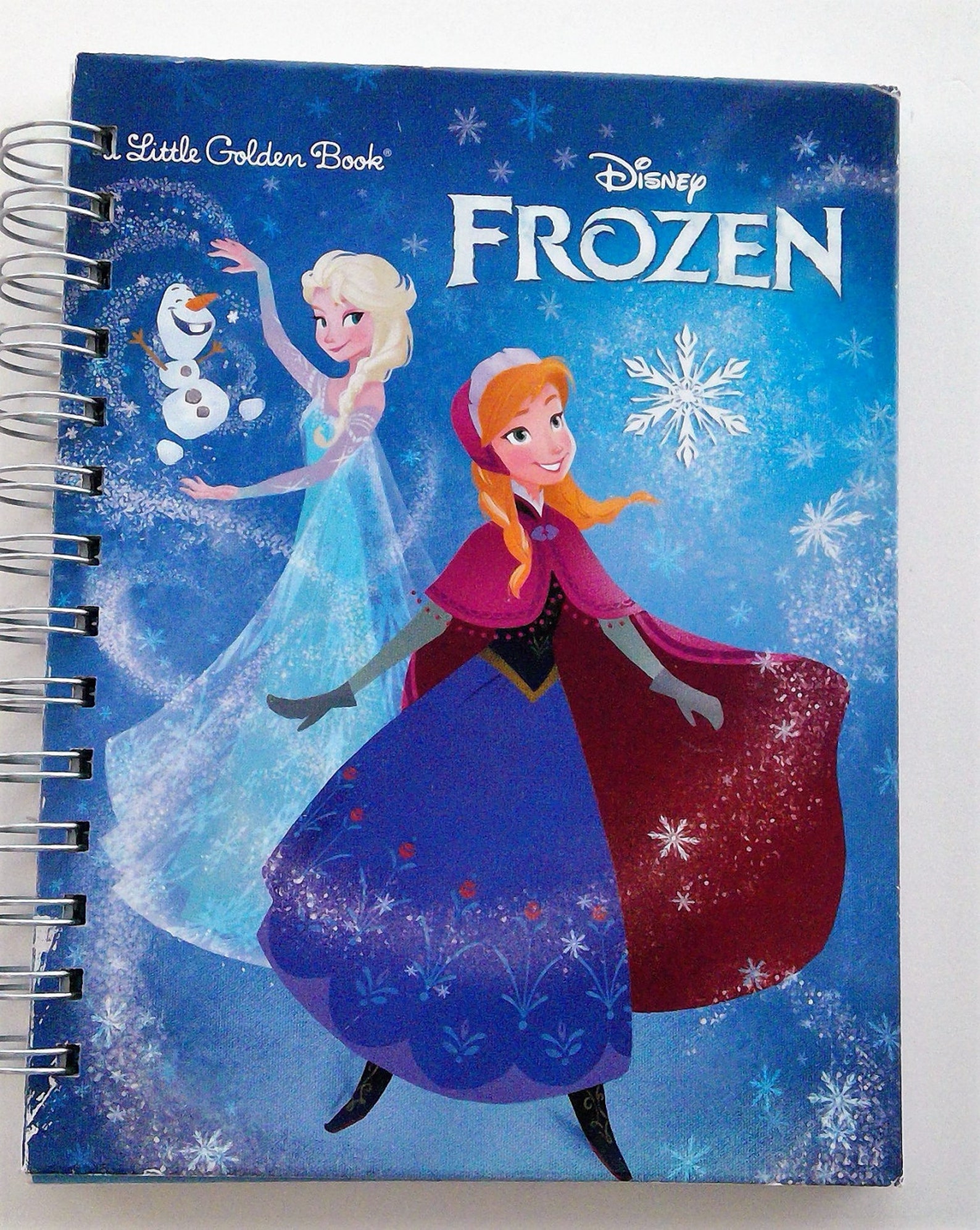 Frozen Elsa and Anna storybook journal disney autograph | Etsy