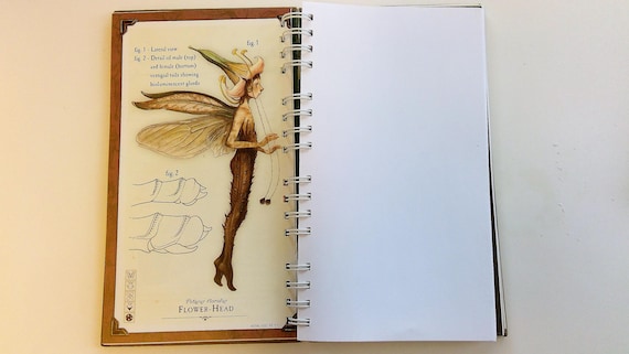 Spiderwick Chronicles Notebook