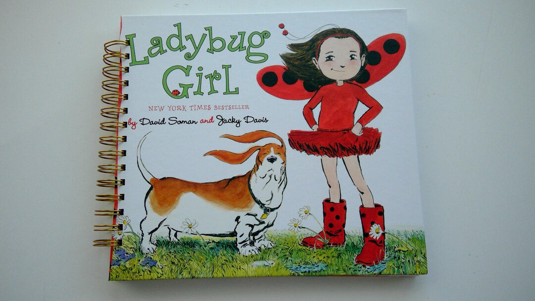 Ladybug Girl, Storybook Journal, Blank Journal, Book Turned Journal ...