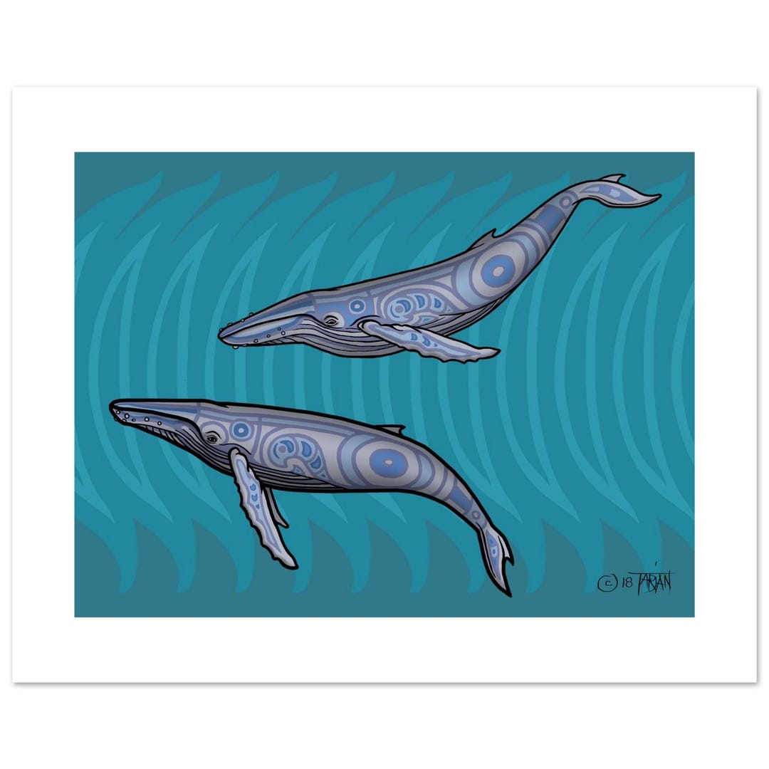 Humpback Whale Artwork of Northwest Totem Poster of a Native American ...
