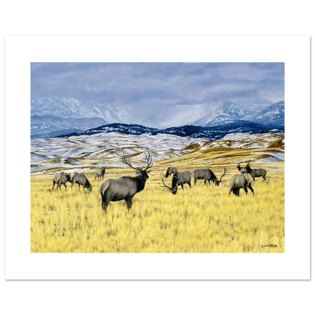Elk Trophy Poster a Winter Artwork an Elk Hunter Gift and Hunting Lover ...