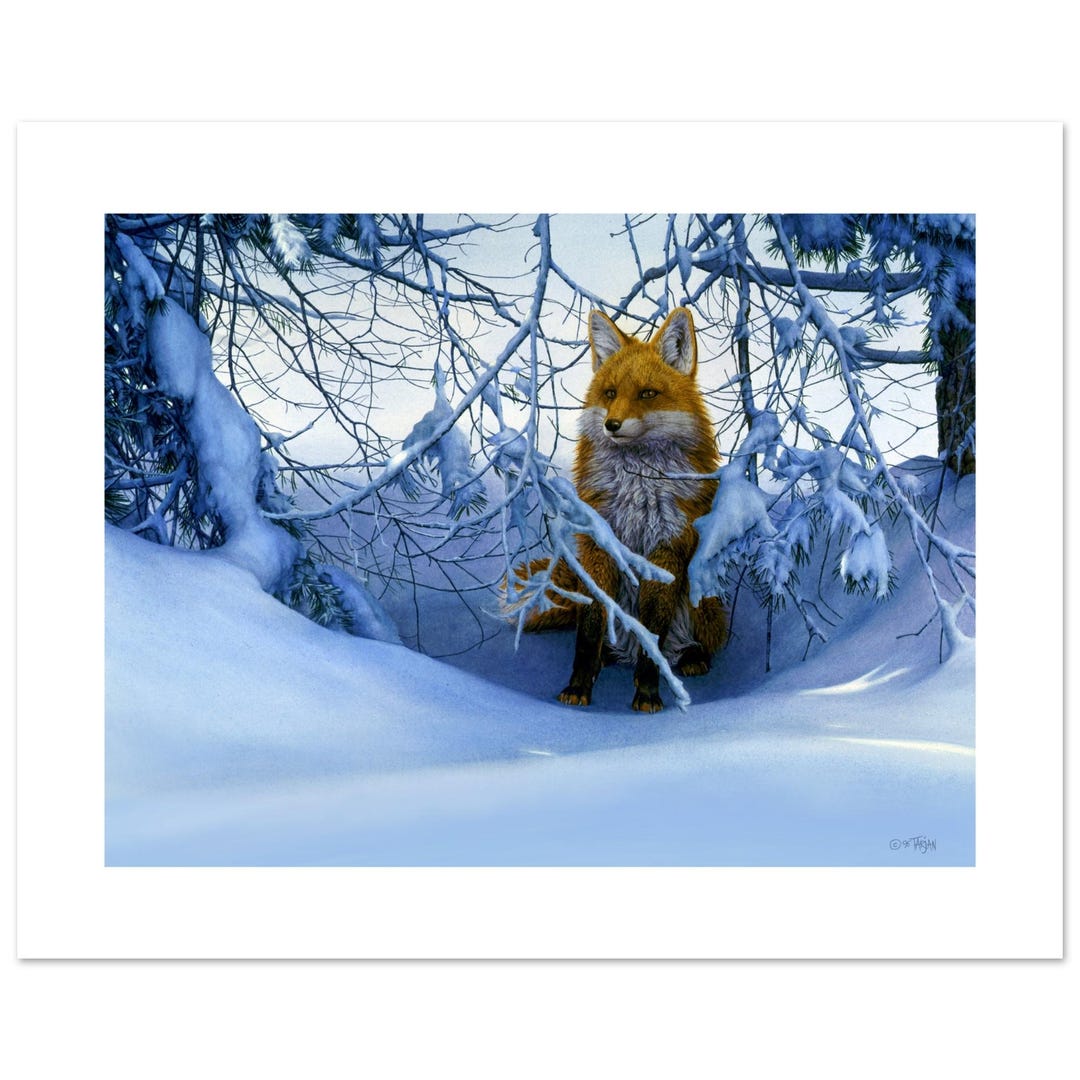 Silently Waiting Fox Art a Fox Lover Poster of a Wildlife Painting for ...