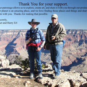 Silently Waiting Fox Art a Fox Lover Poster of a Wildlife Painting for ...