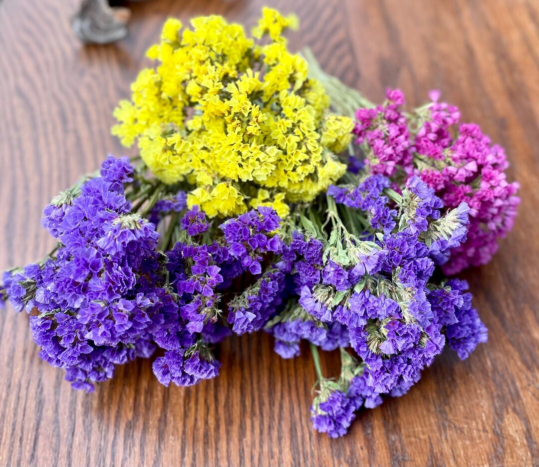 Dried Statice Stems // Everlasting Statice Bouquet // Dried Flower ...