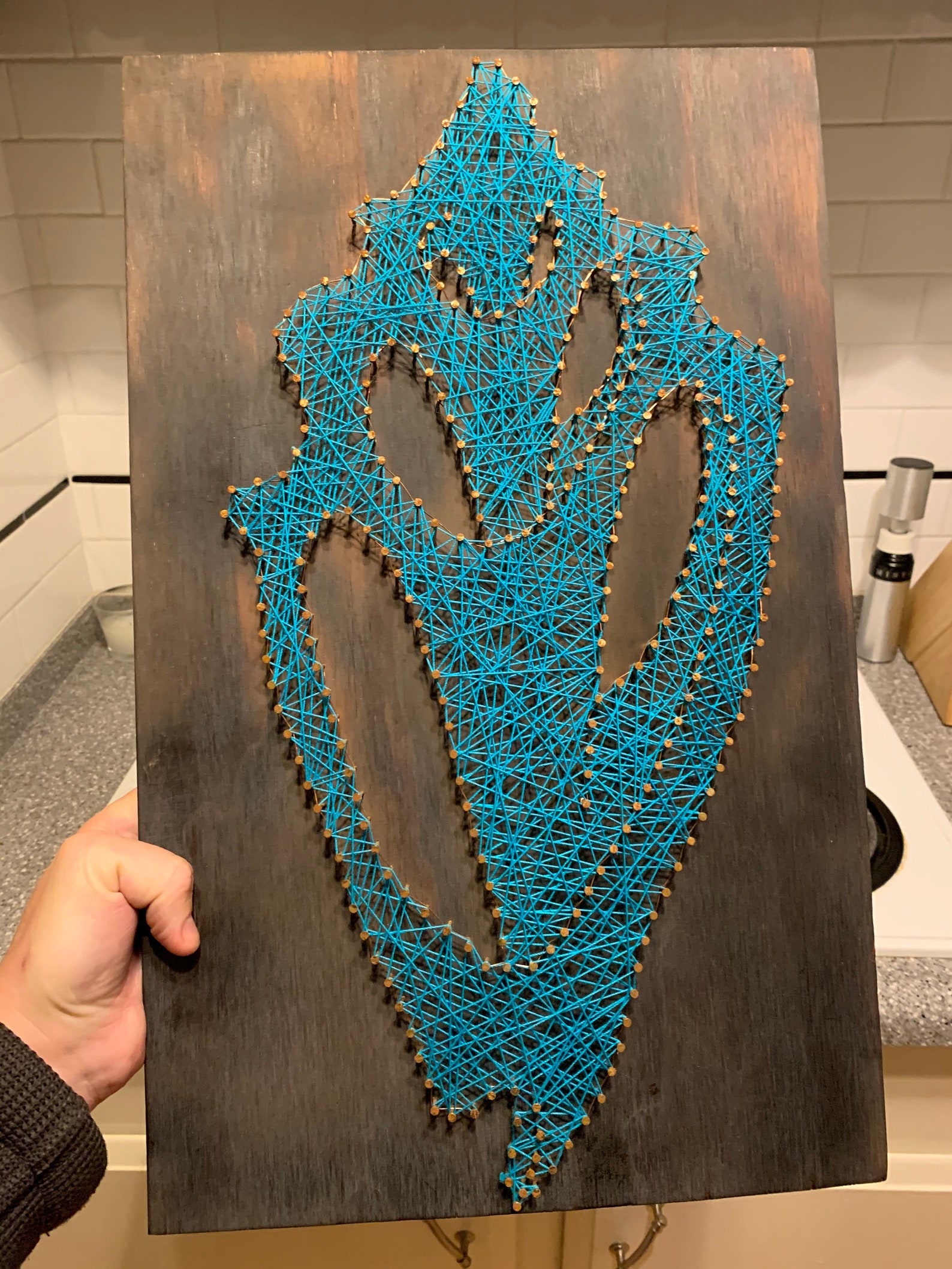 Beach Seashell Section String Art - Etsy