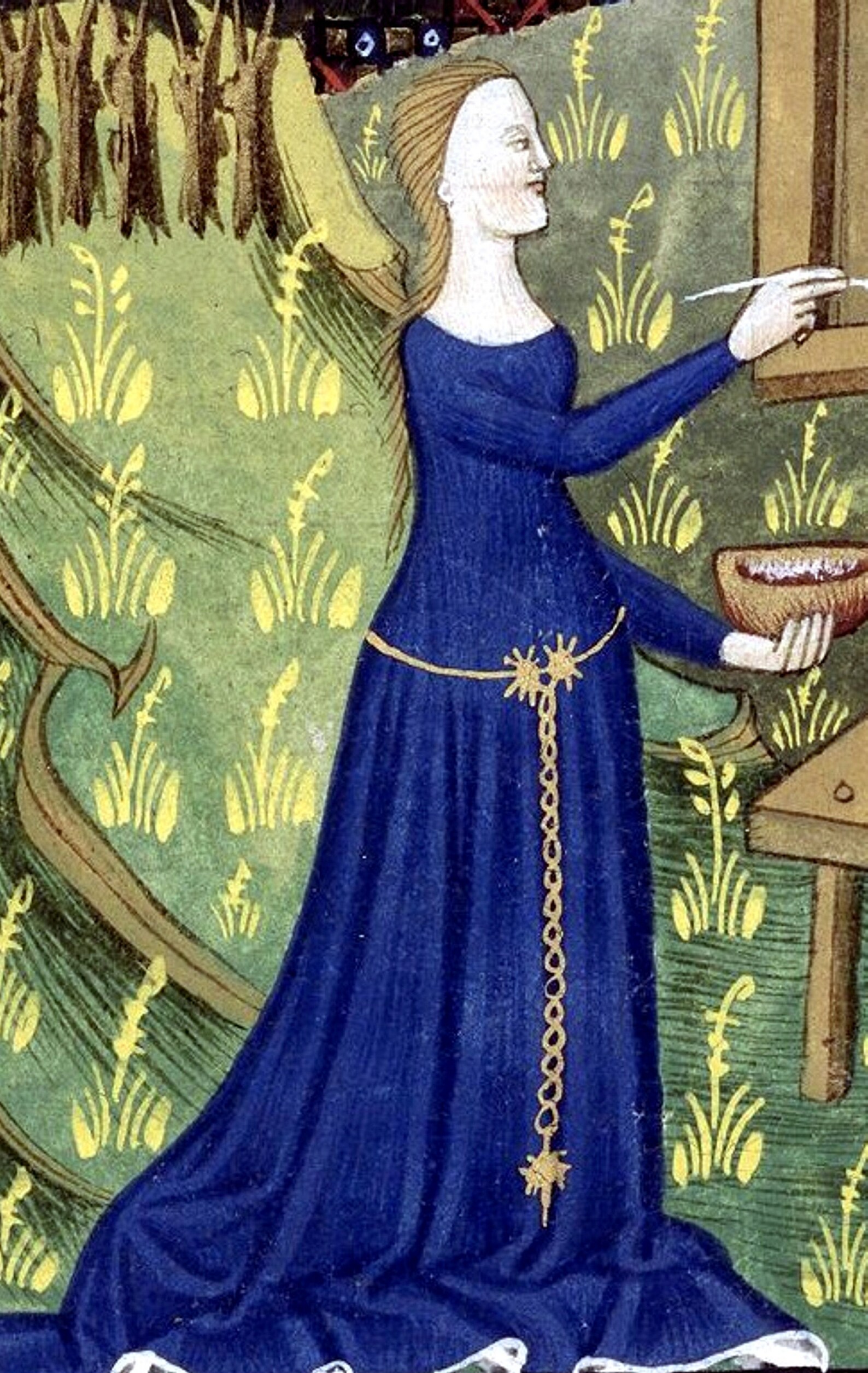 Medieval cote-hardie cotte-hardie cotardie cotehardie | Etsy