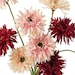 Faded Red Mix Spider Gerbera Daisies Silk Flowers Real Looking ...