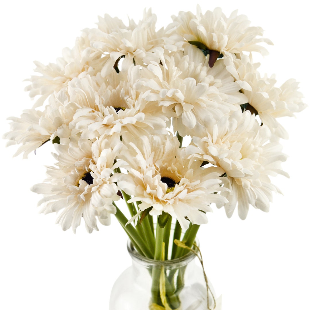 Artificial Beige Silk Gerbera Flowers, DIY Floral Decor (10 Stems) - Etsy