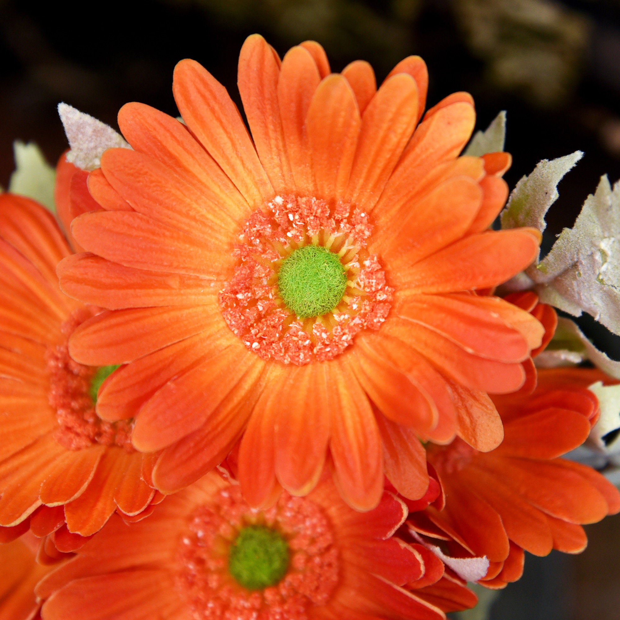 Fiveseasonstuff 7 Stems of Artificial Real Touch Gerbera - Etsy