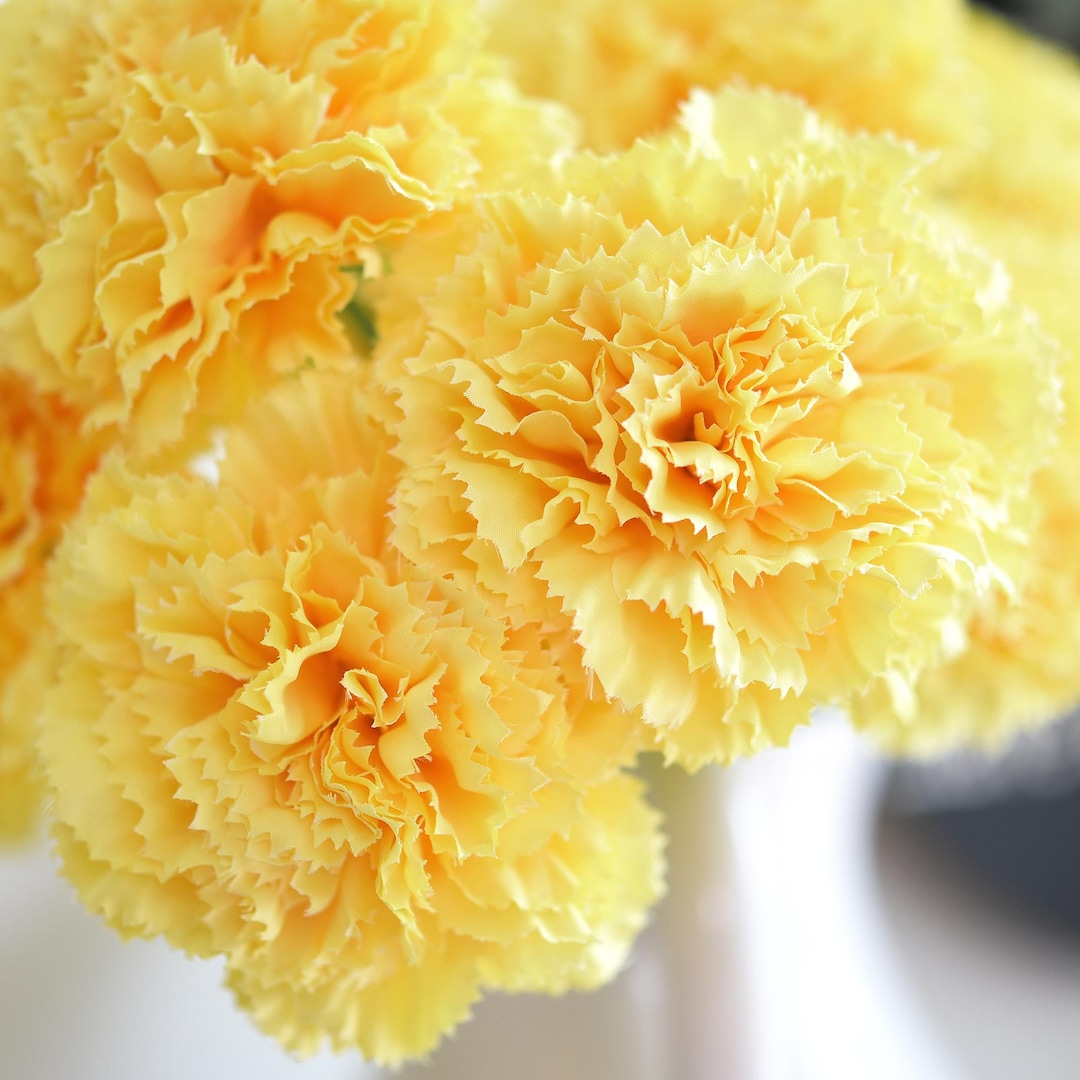 Champagne Gold Silk Carnation Flower – Festive Floral Decor, 1 Ft - Etsy