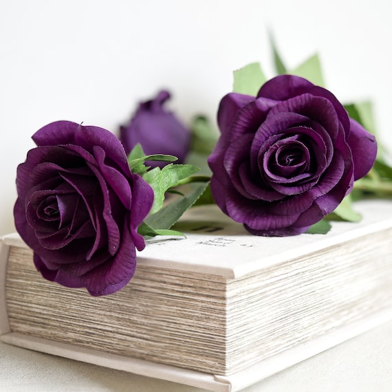 Real Purple Roses Rare Purple Rose Plant Seeds For Home Gardens