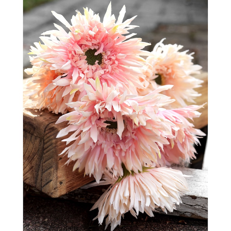 Pink Spider Gerbera Daisies, Realistic Silk Flowers, Home Decor (6 ...