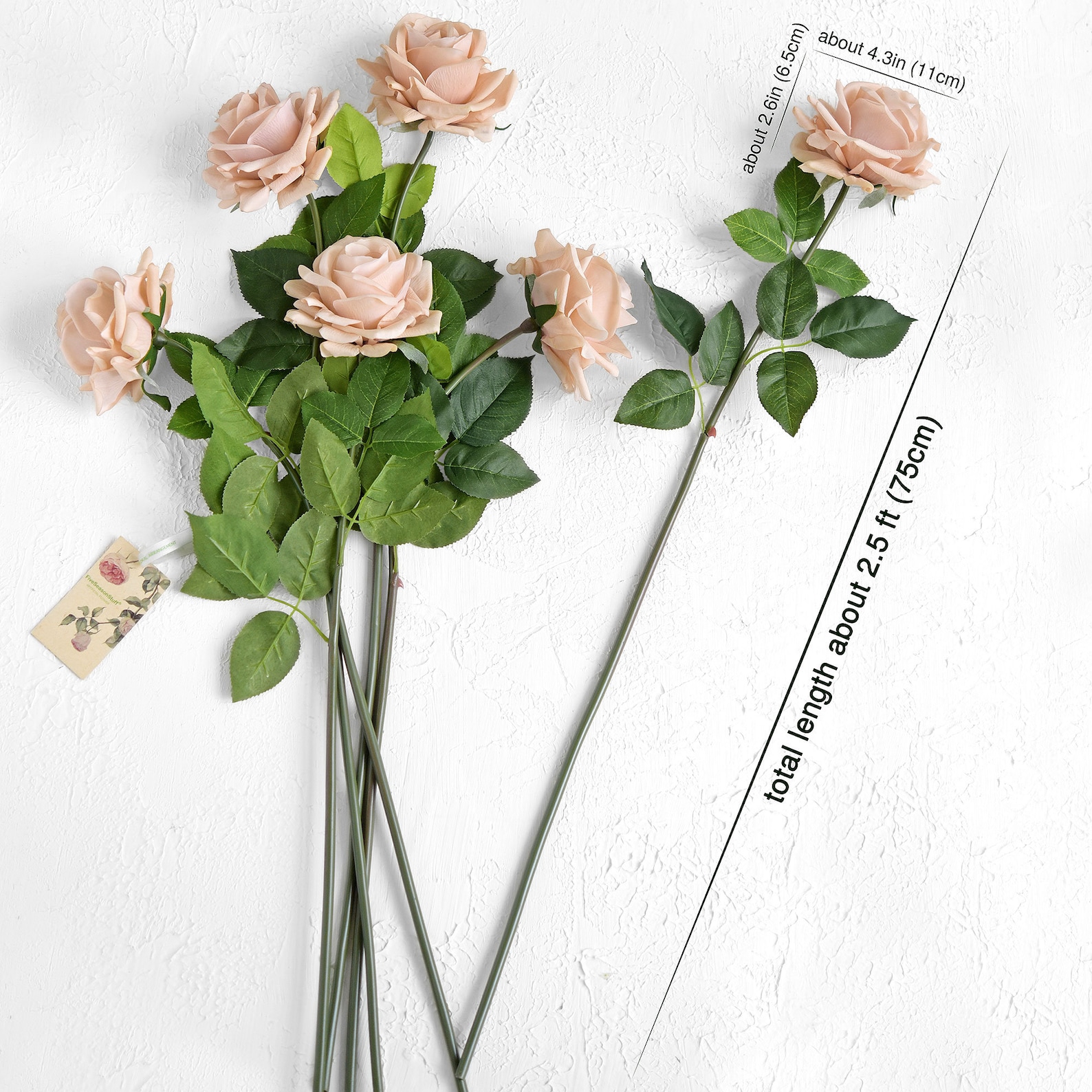 6 Long Stems Chocolate Pink Real Touch Garden Roses Large Blooms - Etsy