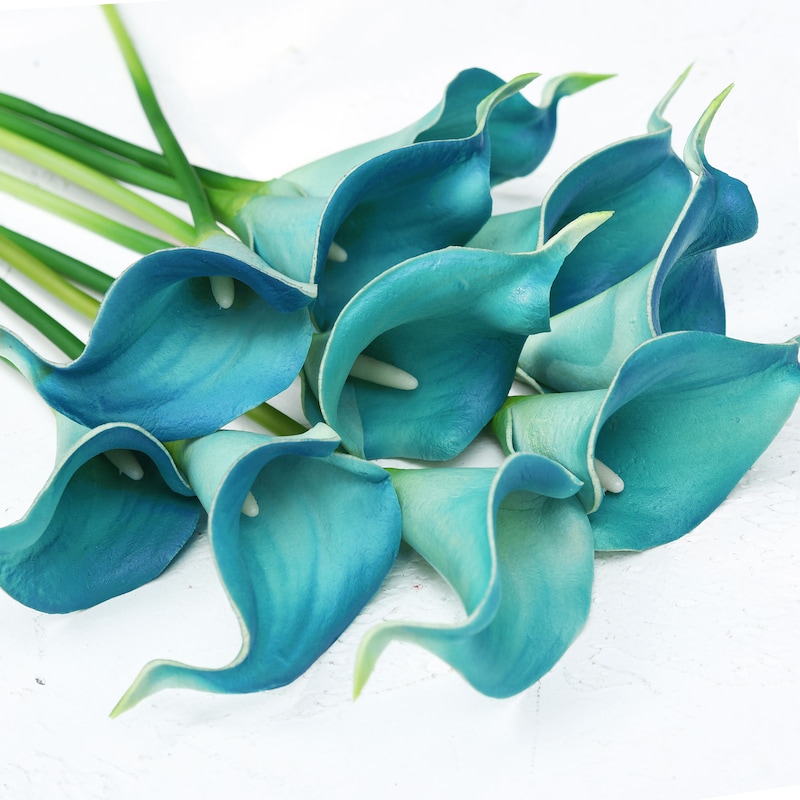 Blue Calla Lily - Etsy