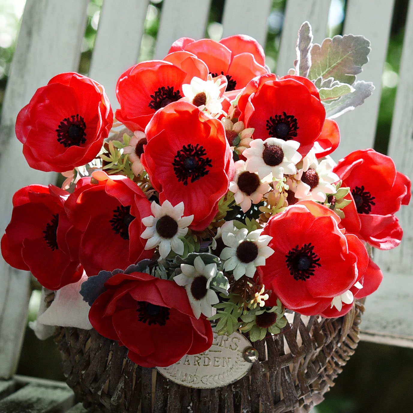 Red Anemone Flower