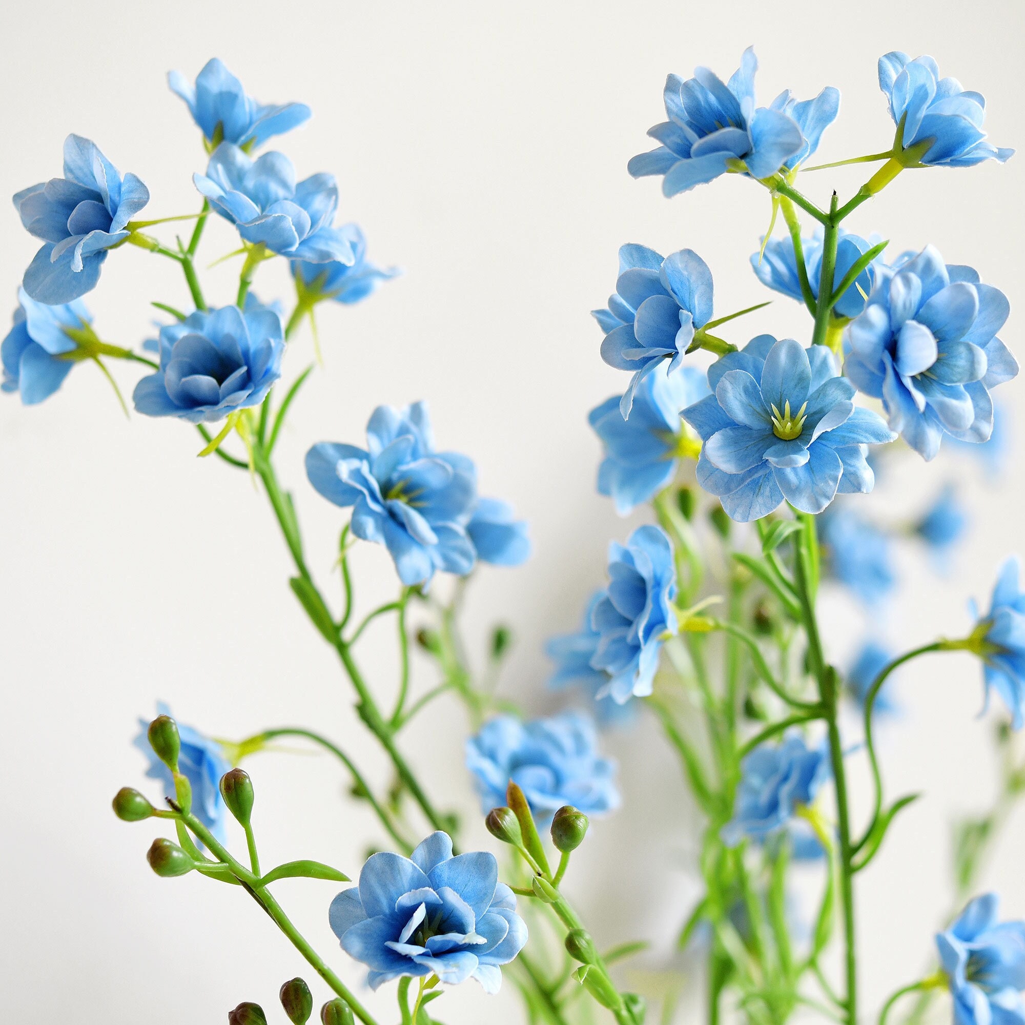 Light Blue Delphinium Bouquet