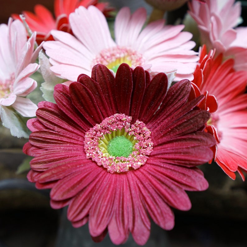 FiveSeasonStuff 7 Stems of Artificial Real Touch Gerbera | Etsy