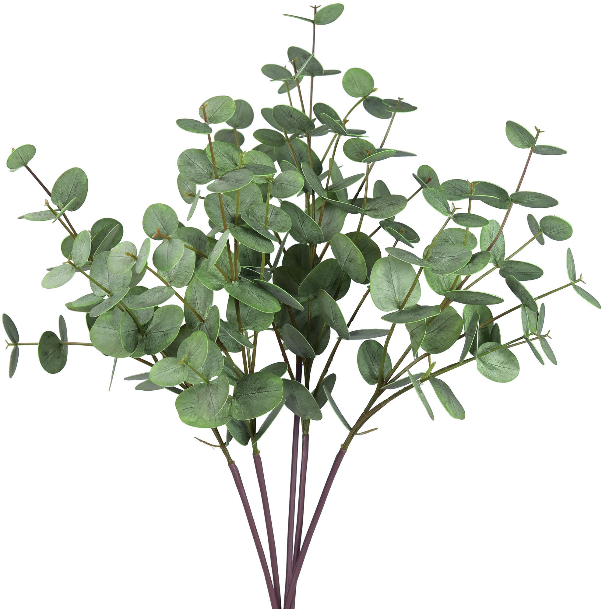 Real Touch Artificial Silver Dollar Eucalyptus Stems, 3D Texture - Etsy