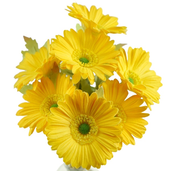 Fiveseasonstuff 7 Stems of Artificial Real Touch Gerbera Flowers ...