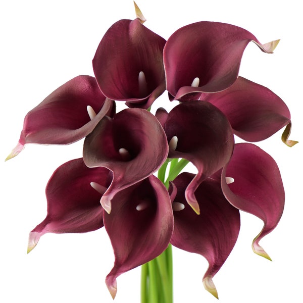 Red Calla Lily - Etsy