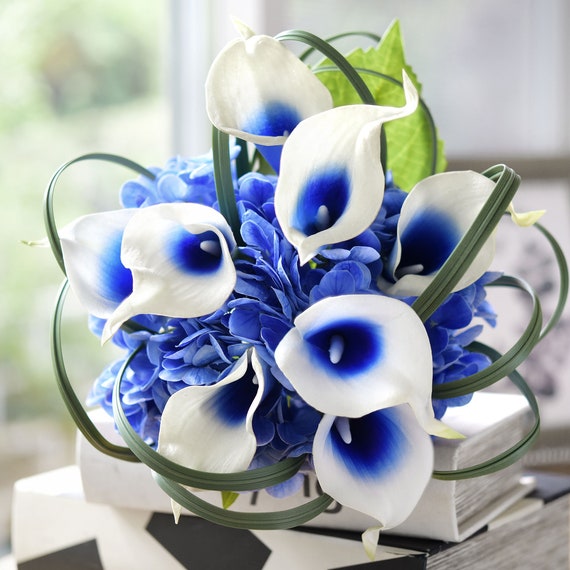 Blue Calla Lily