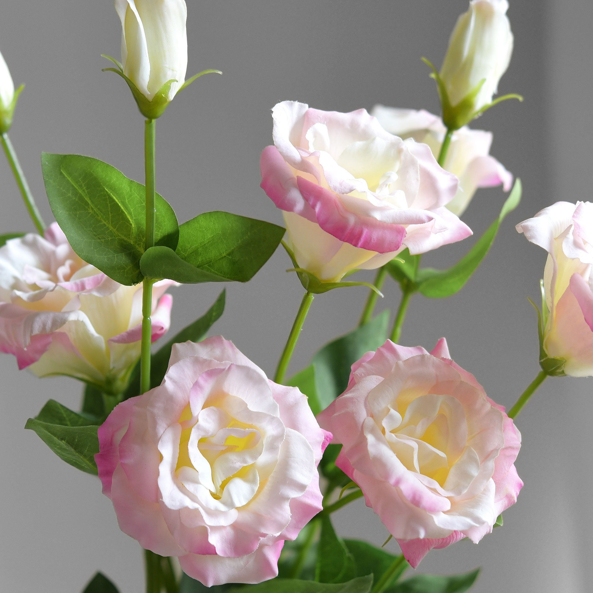 Light Pink Lisianthus